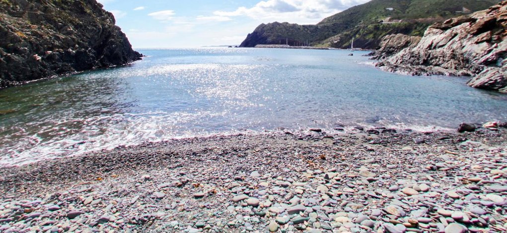 Platja del Pi beach in Portbou - 2025 - Visit Costa Brava