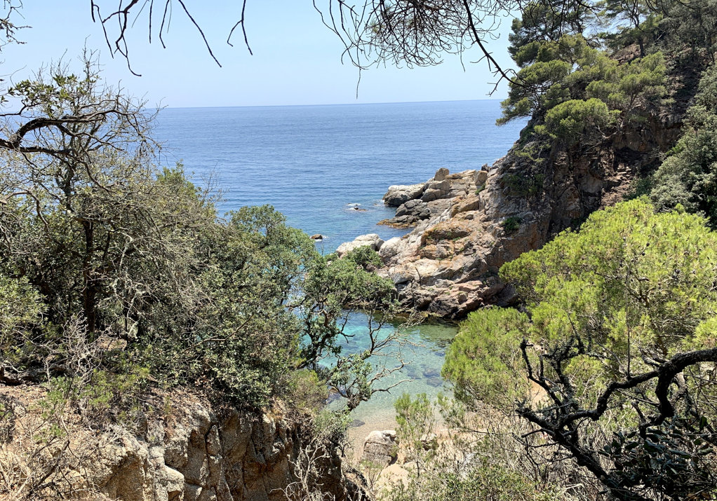 Cala Morisca en Tossa de Mar - 2025 - Visita Costa Brava