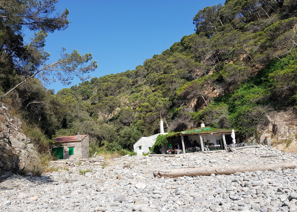 Cala Pedrosa en Tamariu - 2026 - Visita Costa Brava