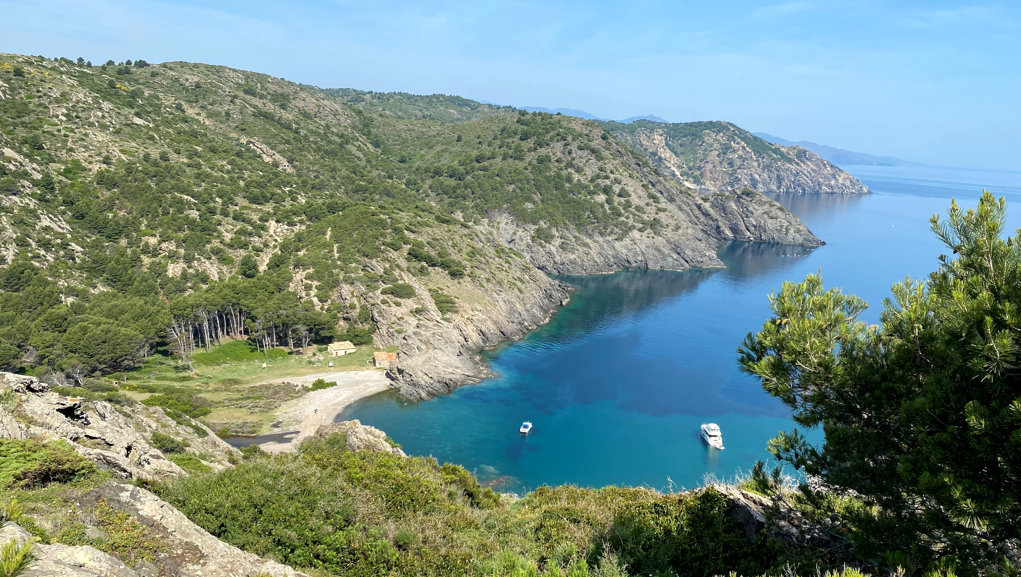 Cala Taballera en El Port de la Selva - 2026 - Visita Costa Brava