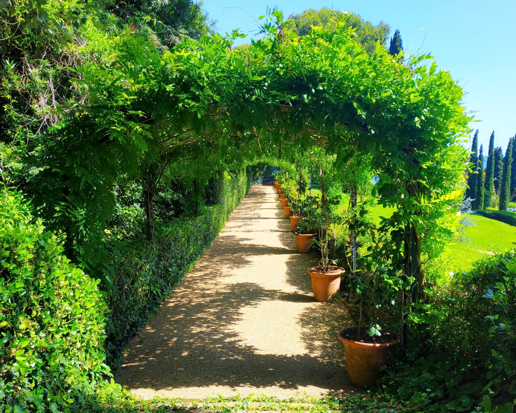 Santa Clotilde Botanical Garden - 2025 - Visit Costa Brava