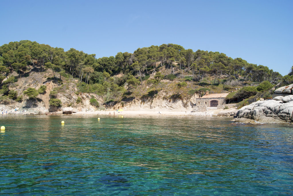 Playa de Cap de Planes en Palamós - 2026 - Visita Costa Brava