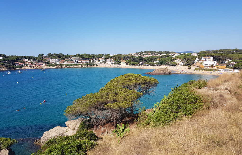 Playa de La Fosca en Palamós - 2025 - Visita Costa Brava