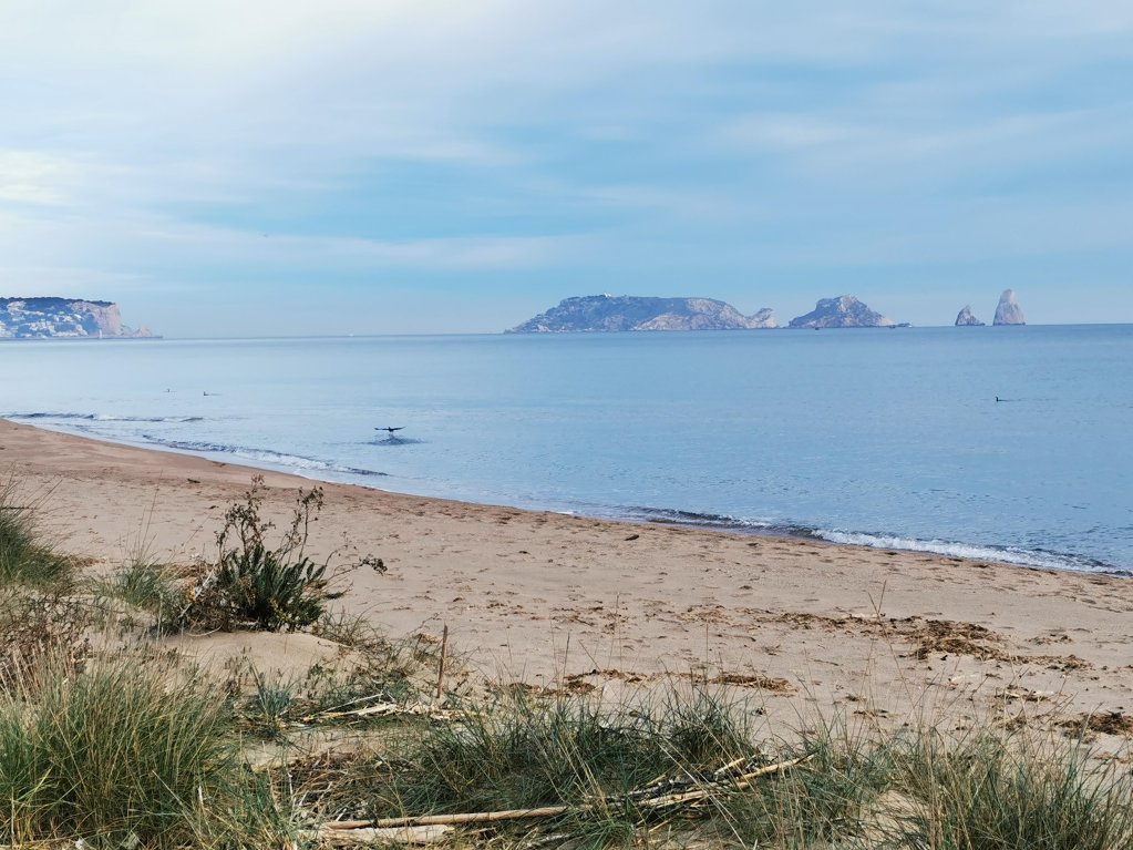 Mas Pinell beach in l'Estartit - 2025 - Visit Costa Brava