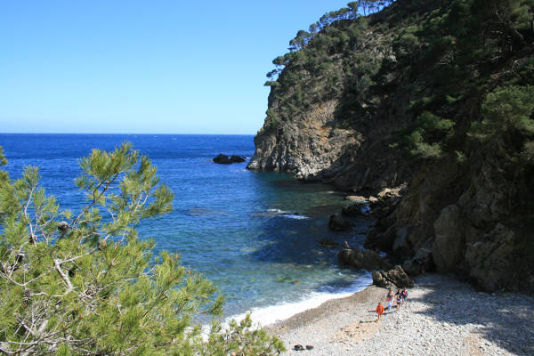 Cala Pedrosa en Tamariu - 2026 - Visita Costa Brava