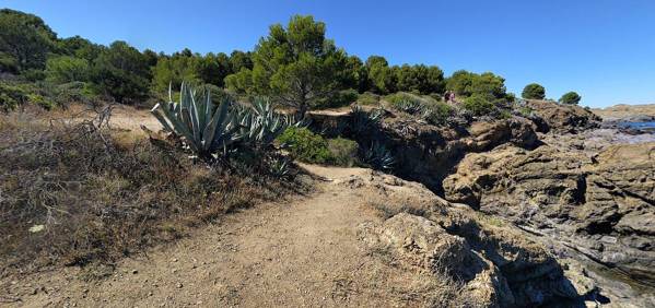Cala Bramant en Llançà - 2026 - Visita Costa Brava